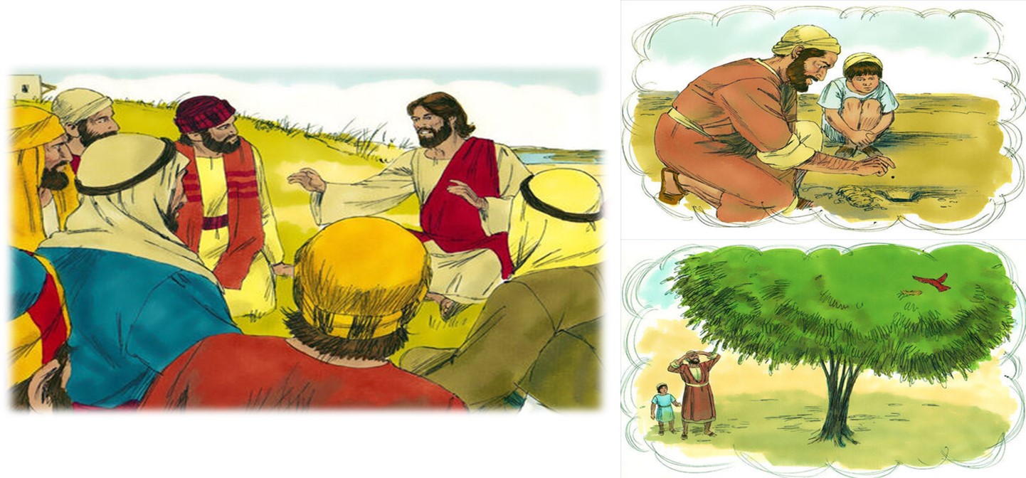 A parábola do grão de mostarda – PARE! LEIA! REFLITA! PRATIQUE!